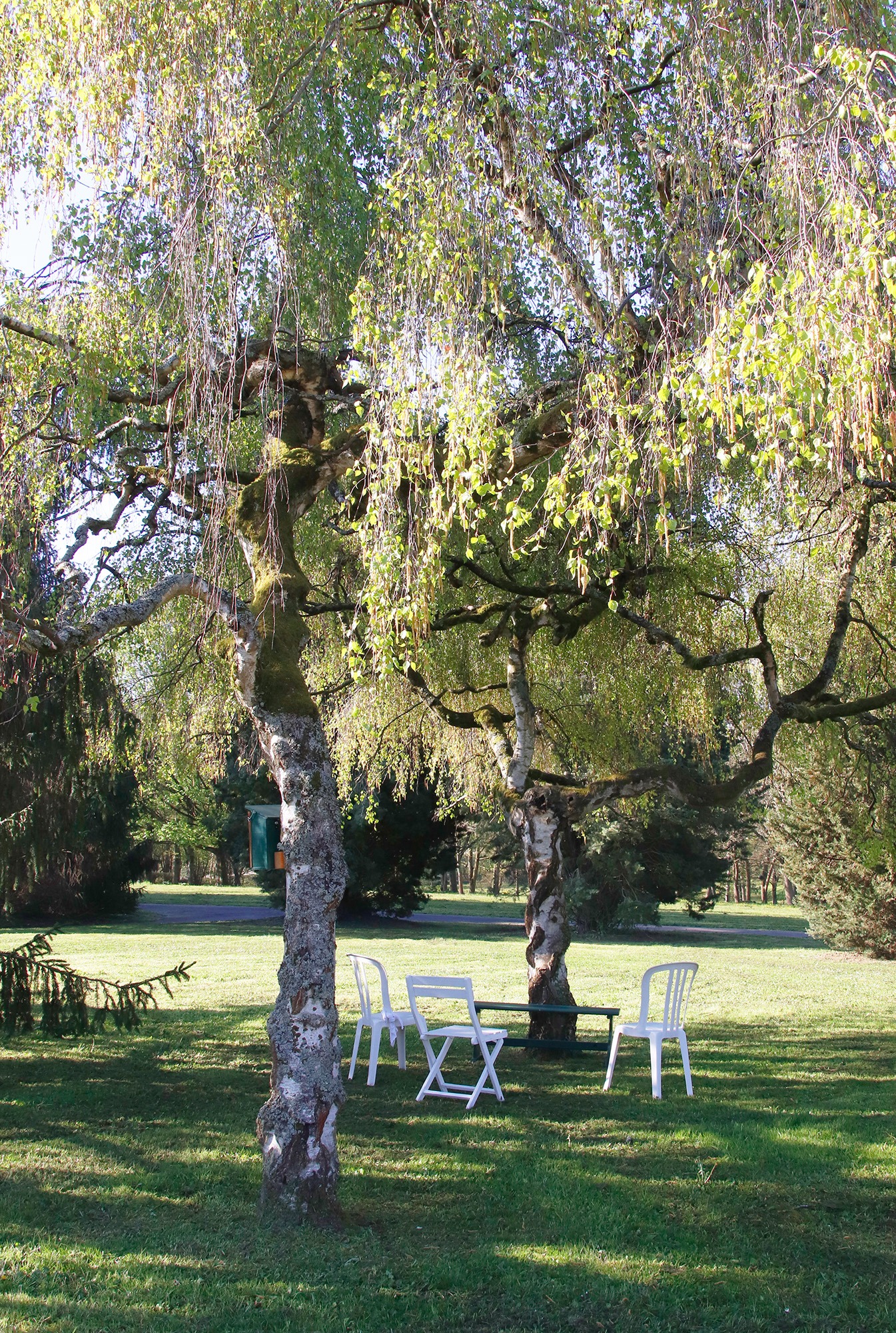 Le bénévolat en EHPAD - iUNGO